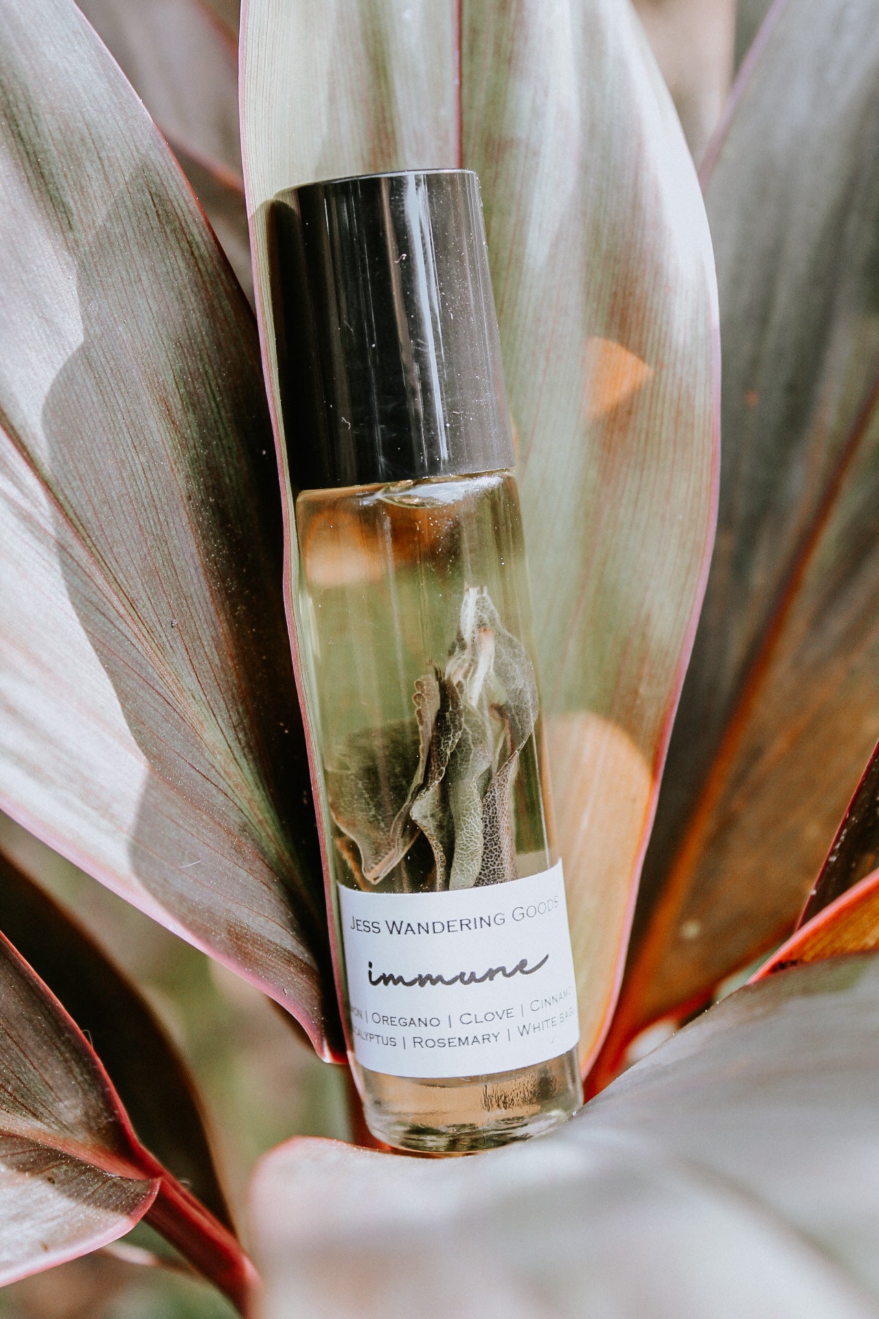 Immune Herbal Roller – JESS WANDERING GOODS
